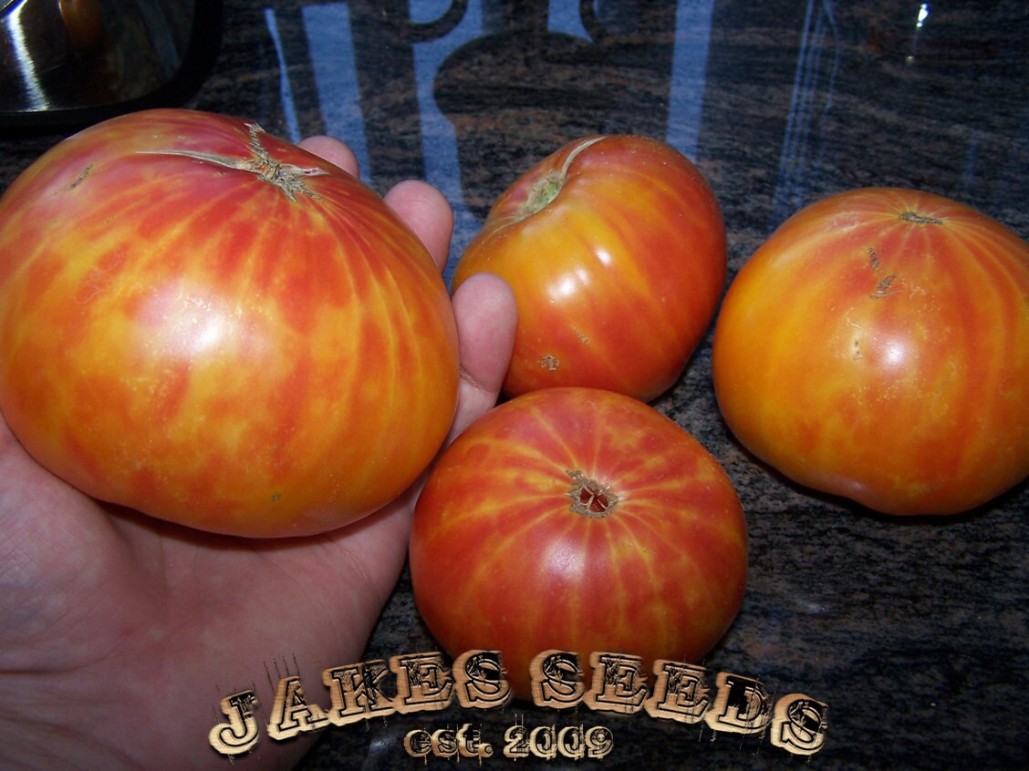 Pineapple Heirloom Tomato Seeds | Etsy