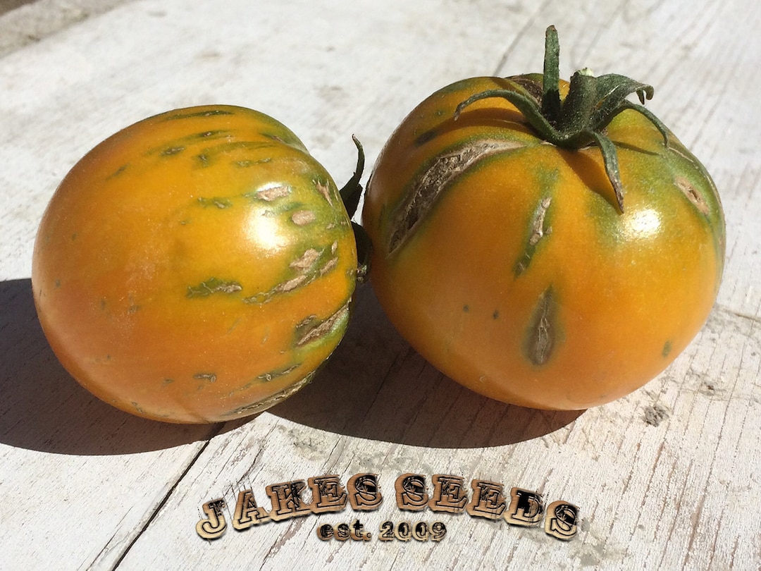 Sweet Solano Tomato Seeds - Etsy