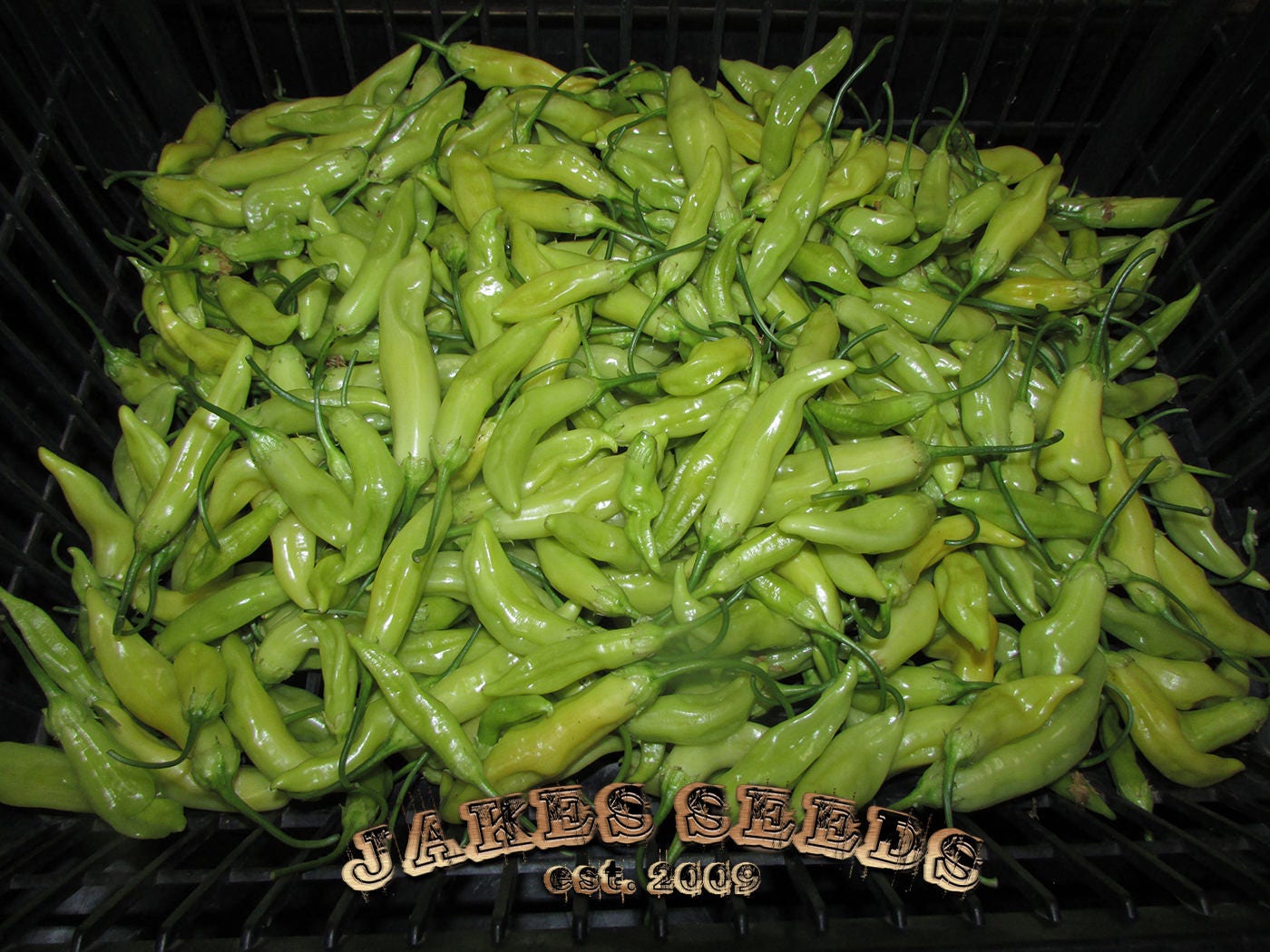 Italian Wax Pickling Pepper Seeds - Etsy