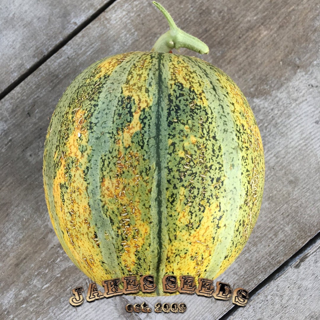 Ha'ogen Heirloom Melon Seeds - Etsy