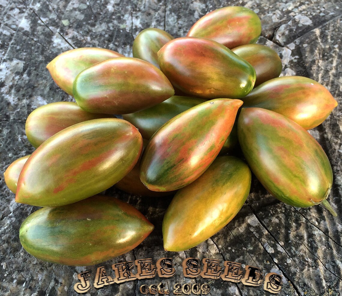 Lucky Tiger Striped Cherry Tomato Seeds - Etsy