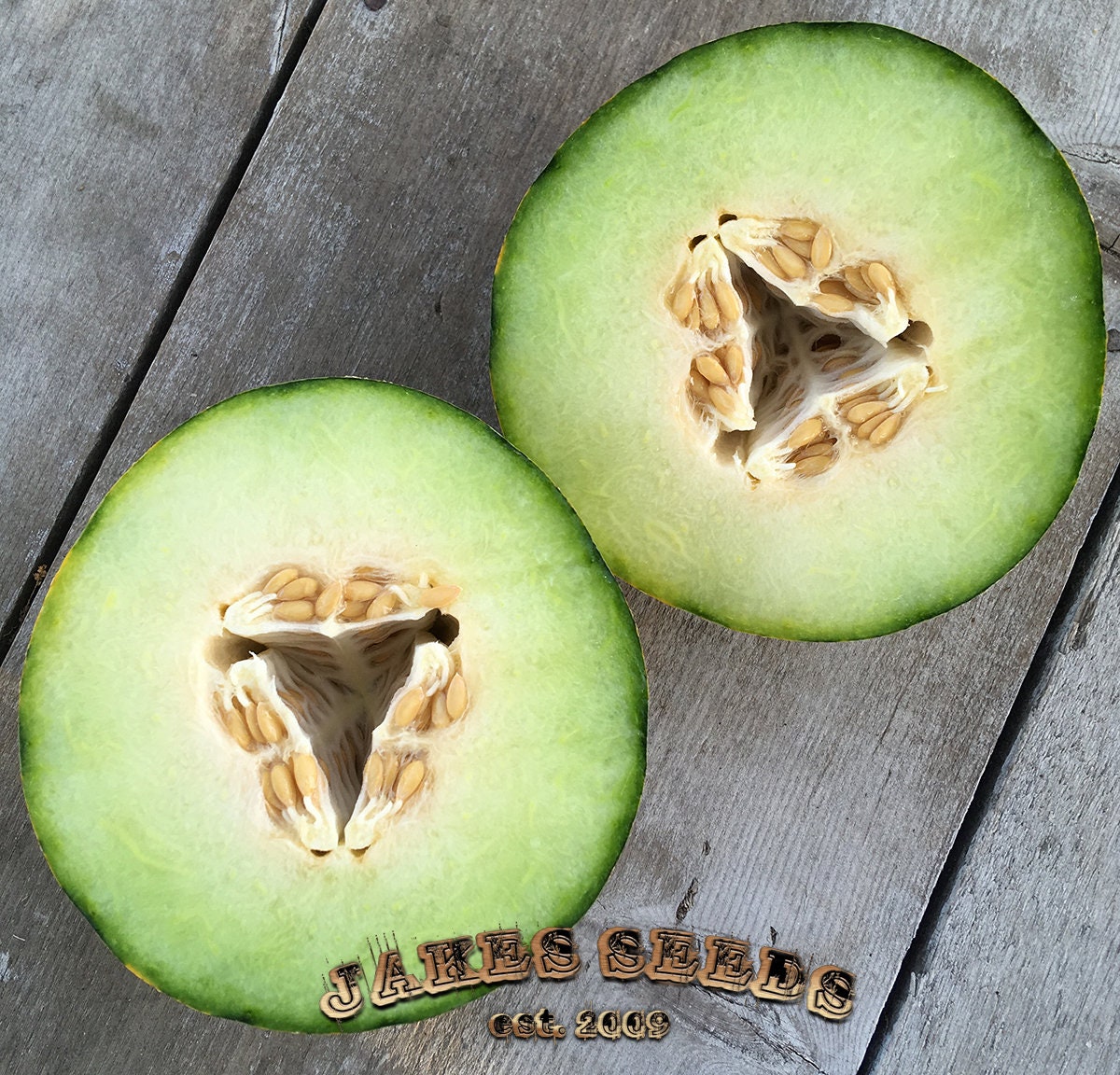 Ha'ogen Heirloom Melon Seeds - Etsy