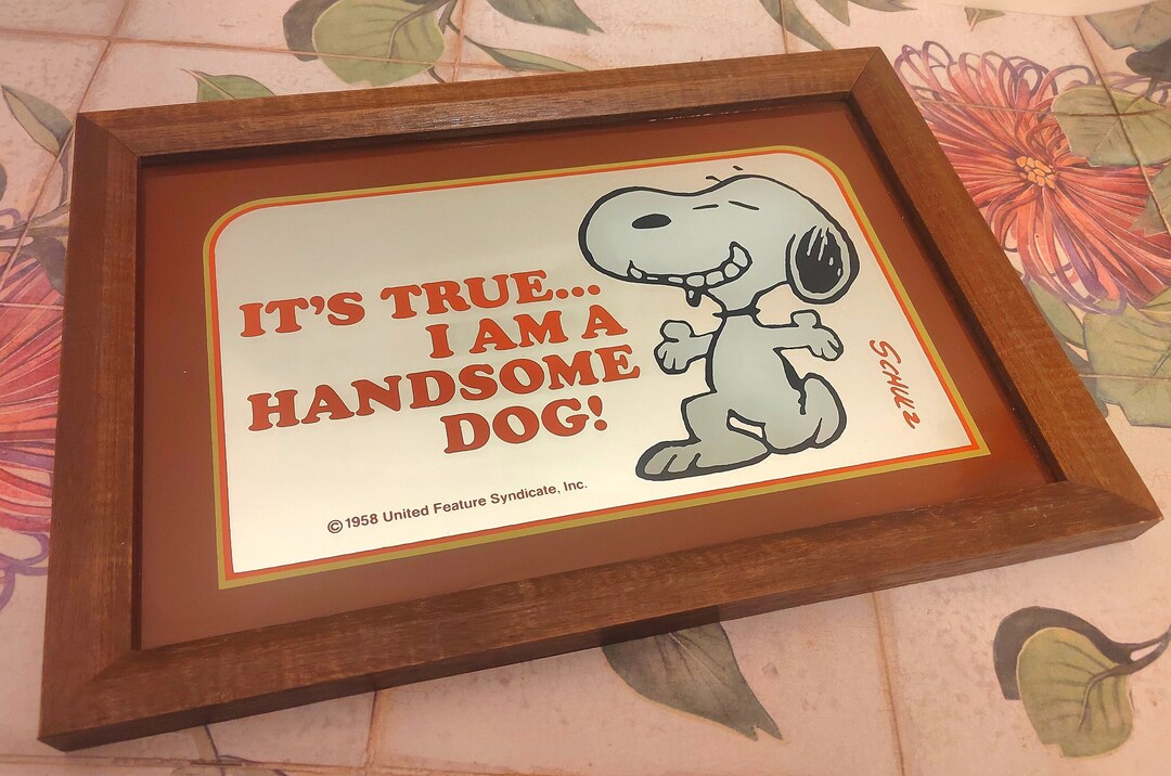 Rare Vintage 1960's Snoopy Picture Mirror/ Snoopy - Etsy