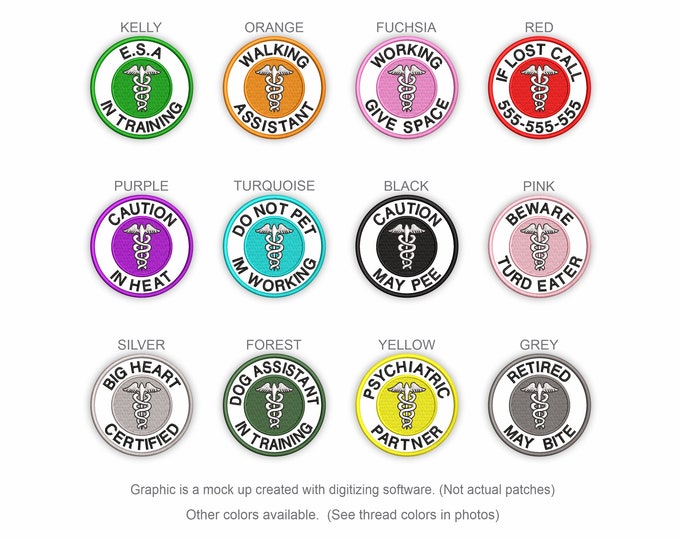 C-PTSD Warrior Patch - Etsy