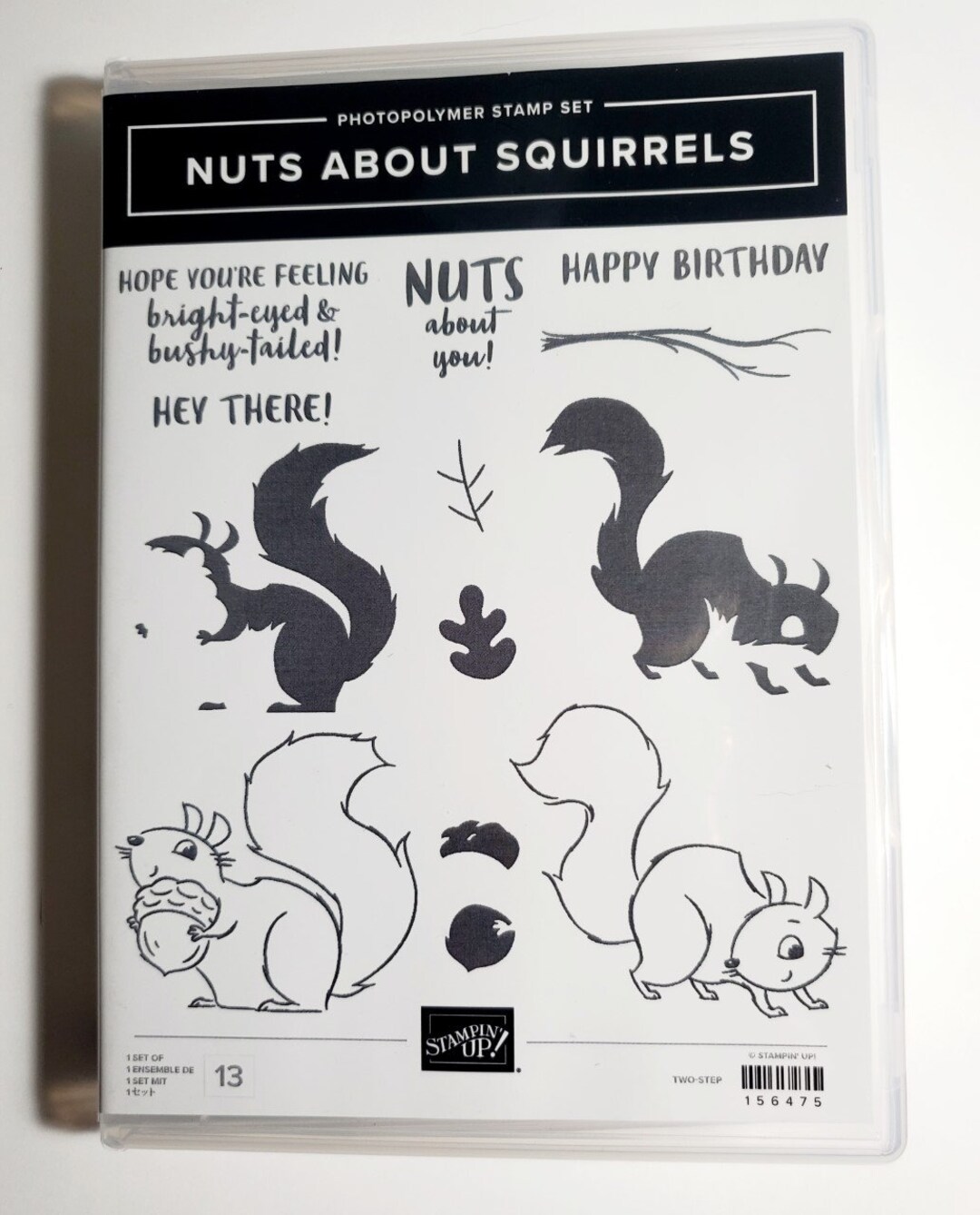 Nuts About Squirrels Stampin' Up Retired Stamp Set - Etsy