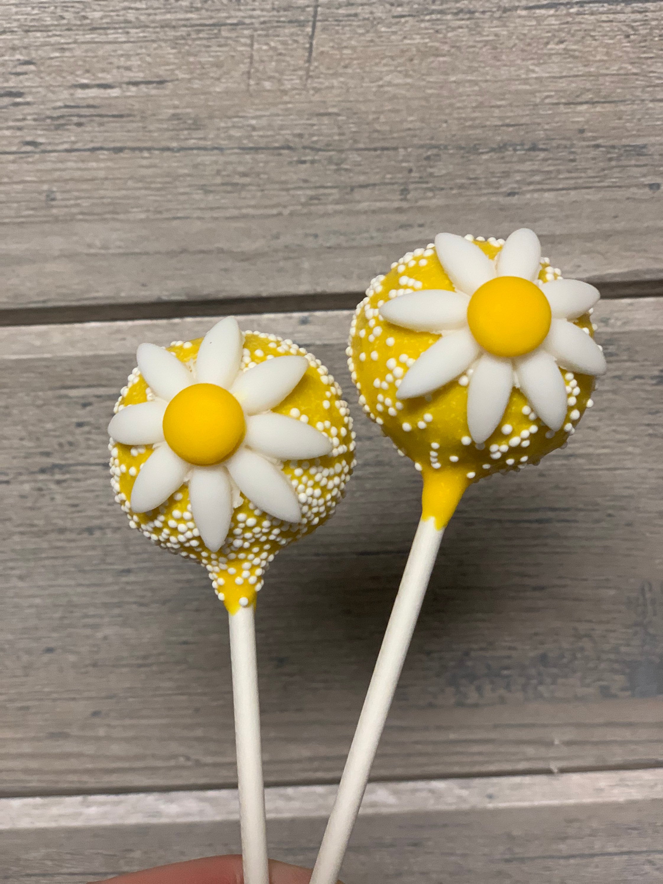 Daisy Cake Pops - Etsy
