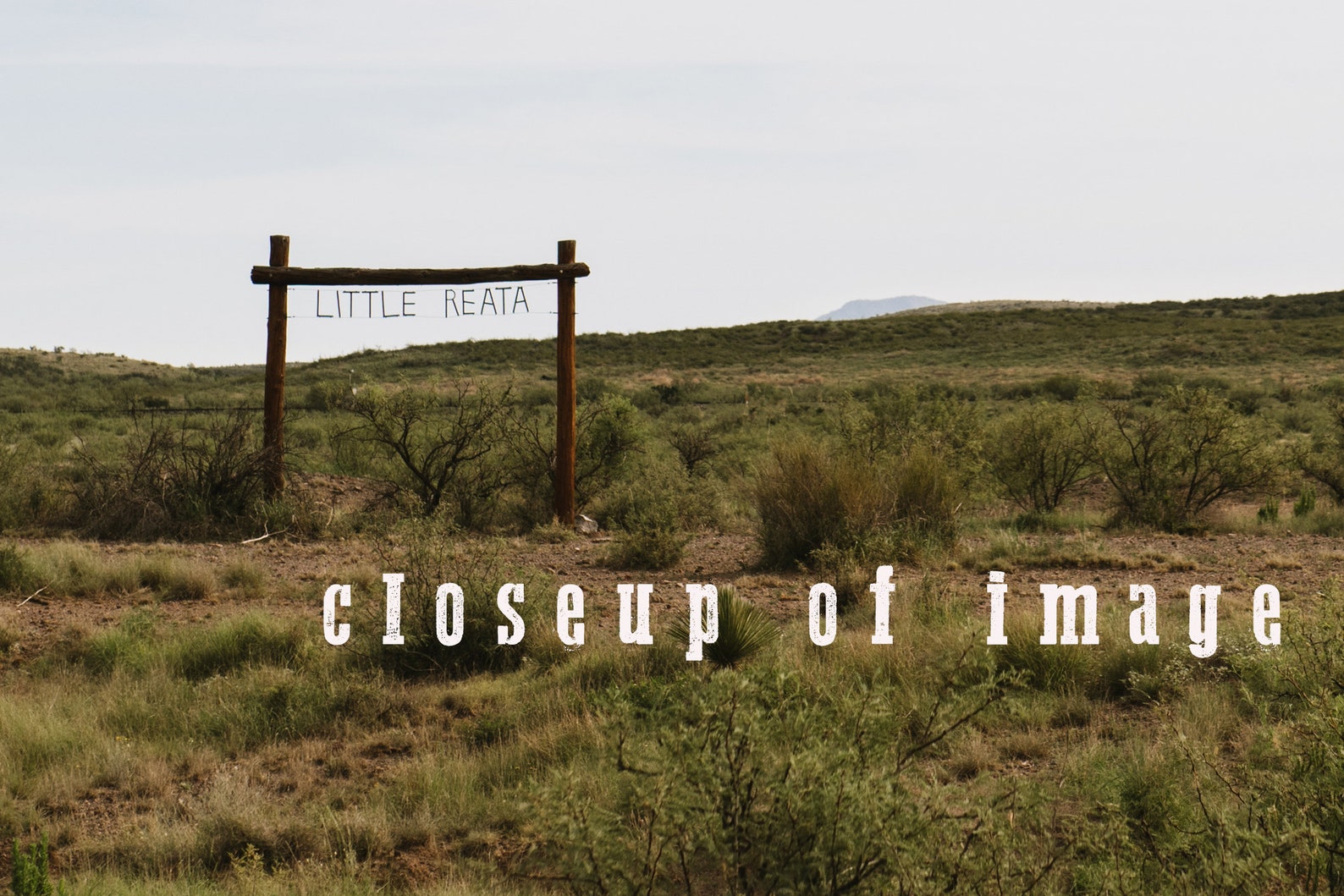 Little Reata Ranch Photograph From the Movie GIANT Starring Elizabeth ...