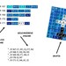 OWL SILHOUETTE - Graph for Crochet C2c Blanket, C2C, Written & Color ...