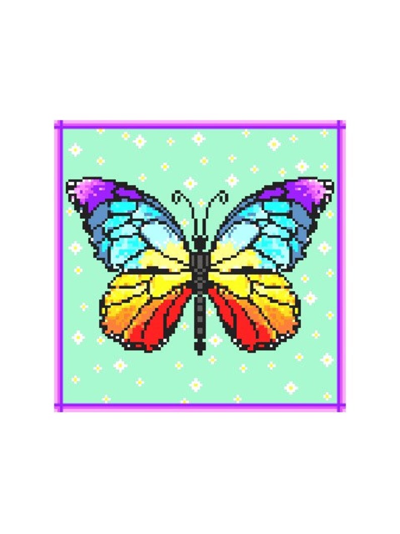 RainBow BUTTERFLY crochet graph for blanket C2C written & | Etsy
