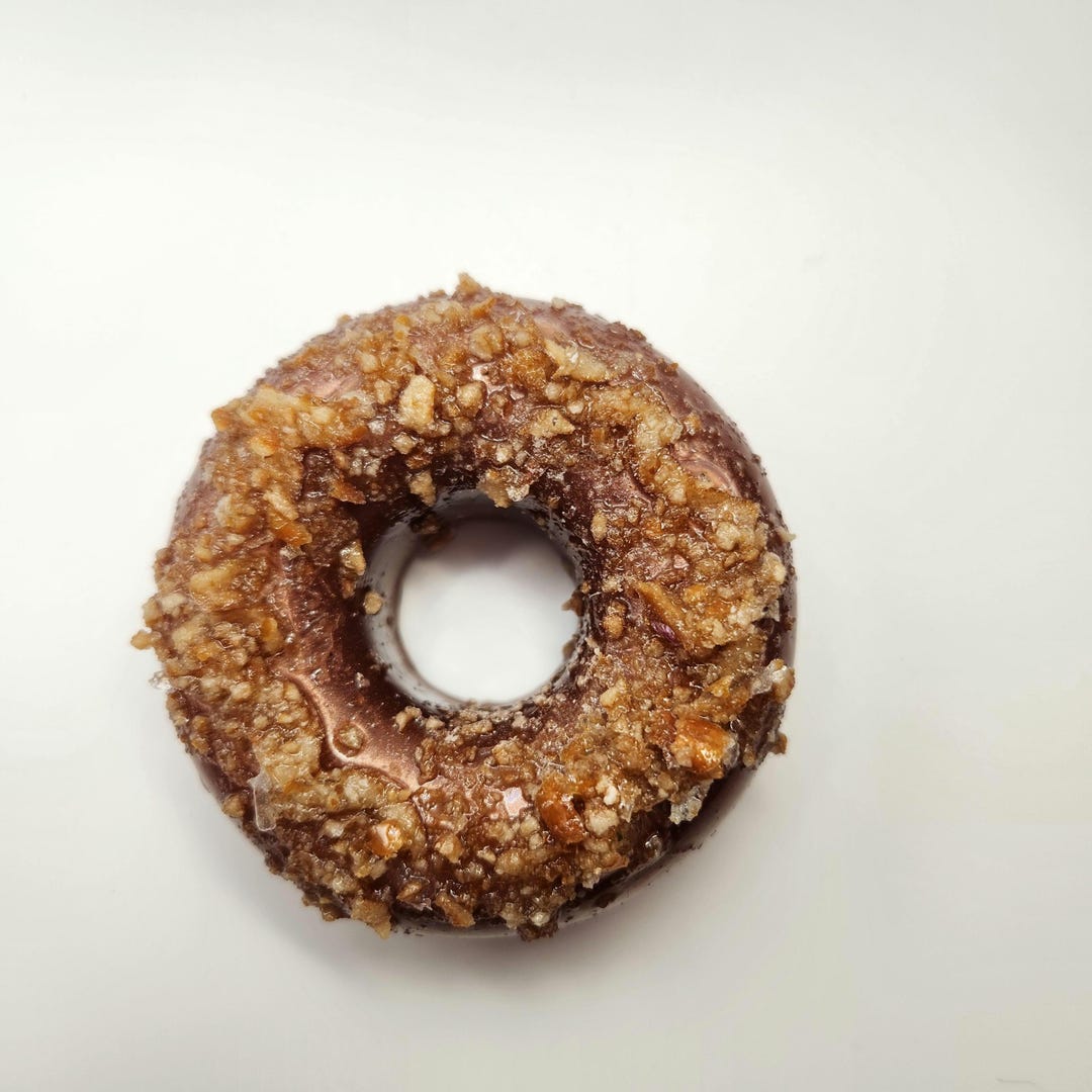 Graham Cracker Handmade Resin Doughnut - Free Shipping! - Etsy