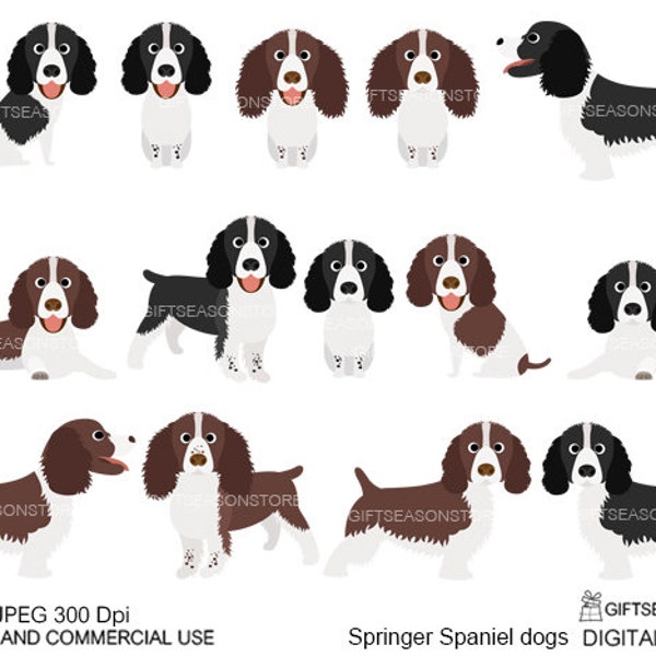Springer Spaniel Art - Etsy