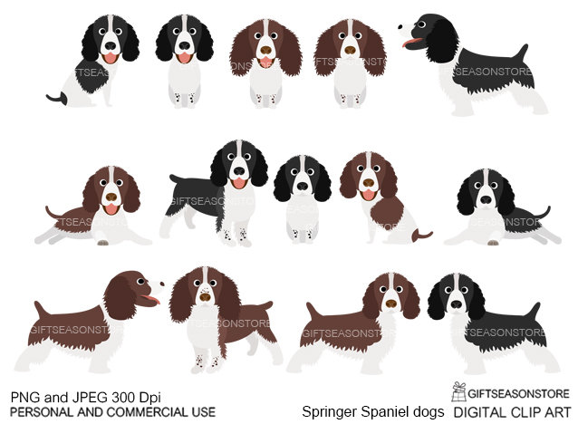 Springer Spaniel Dogs Digital Clip Art for Personal and Commercial Use ...