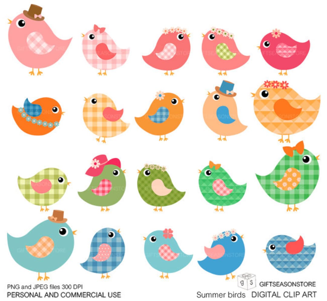 Summer Birds Clip Art for Personal and Commercial Use - INSTANT ...