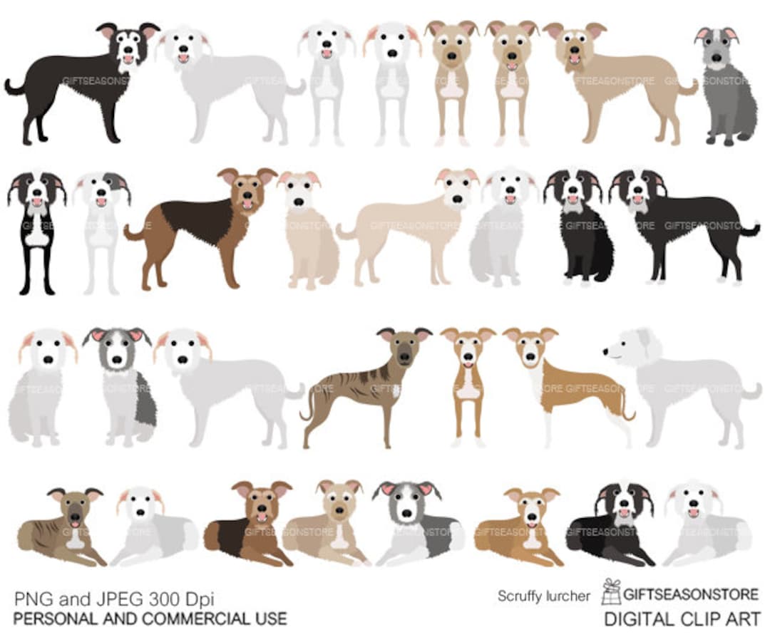 Scruffy Lurcher Dogs Digital Clip Art for Personal and Commercial Use ...