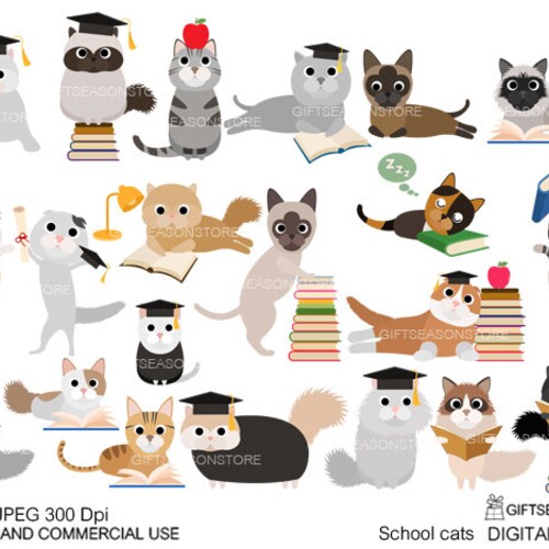 Kittens Digital Clip Art Part 1 for Personal and Commercial - Etsy