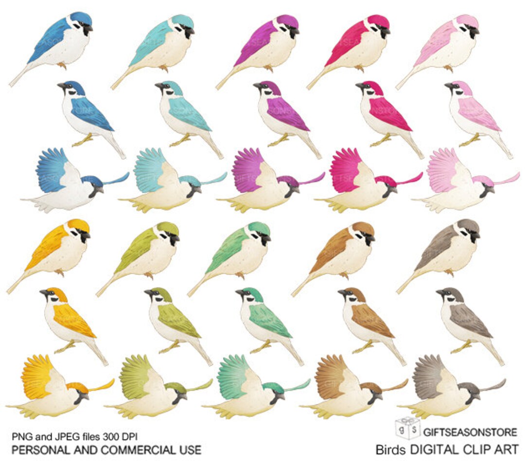 Birds Digital Clip Art for Personal and Commercial Use - INSTANT ...