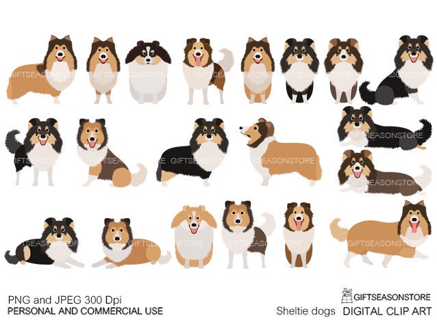 Sheltie dogs digital clip art for Personal and Commercial use | Etsy