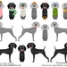 Rear View Dogs Part 1 Digital Clip Art for Personal and Commercial Use ...
