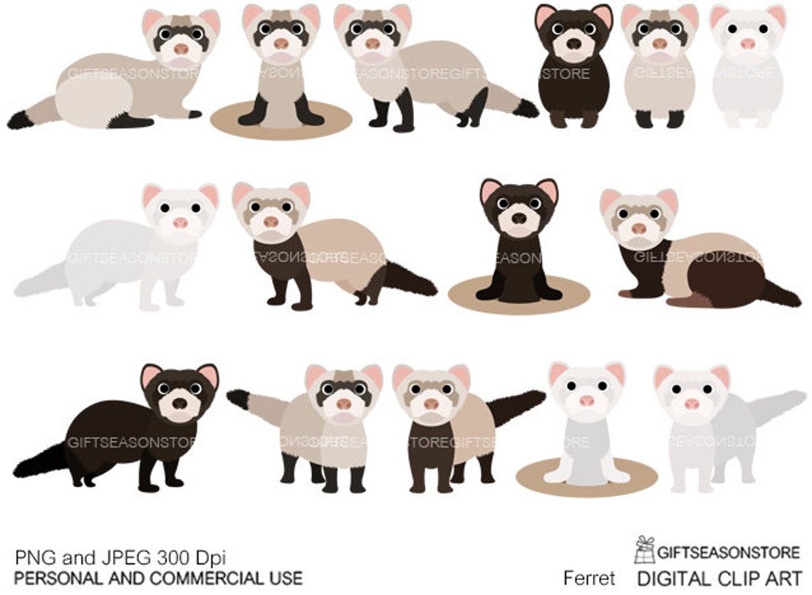 Ferret digital clip art for Personal and Commercial use | Etsy