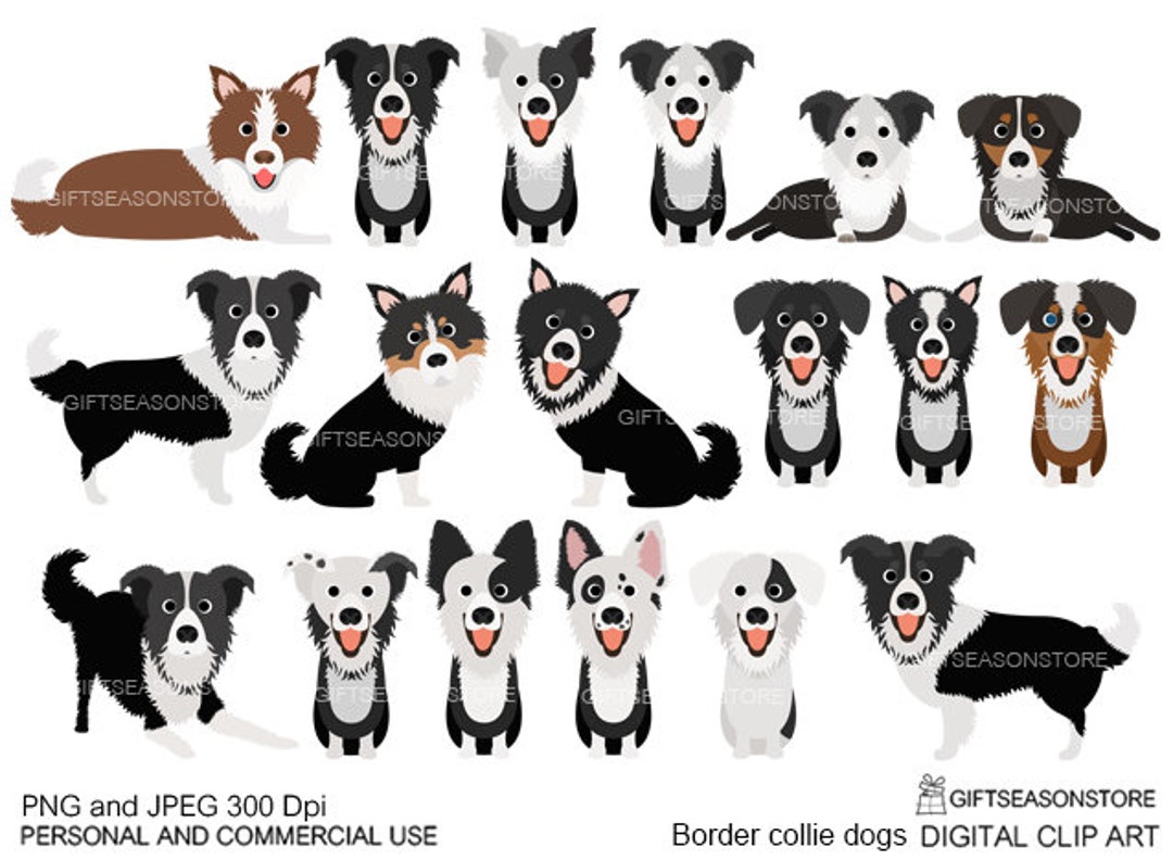 Border Collie Dogs Clip Art for Personal and Commercial Use - INSTANT ...
