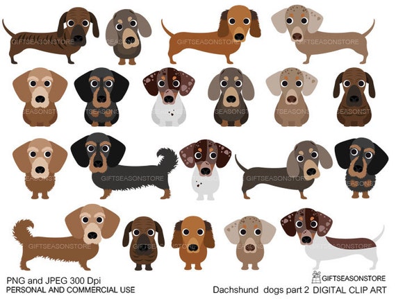 Dachshund Dogs Part 2 Digital Clip Art for Personal and - Etsy Australia