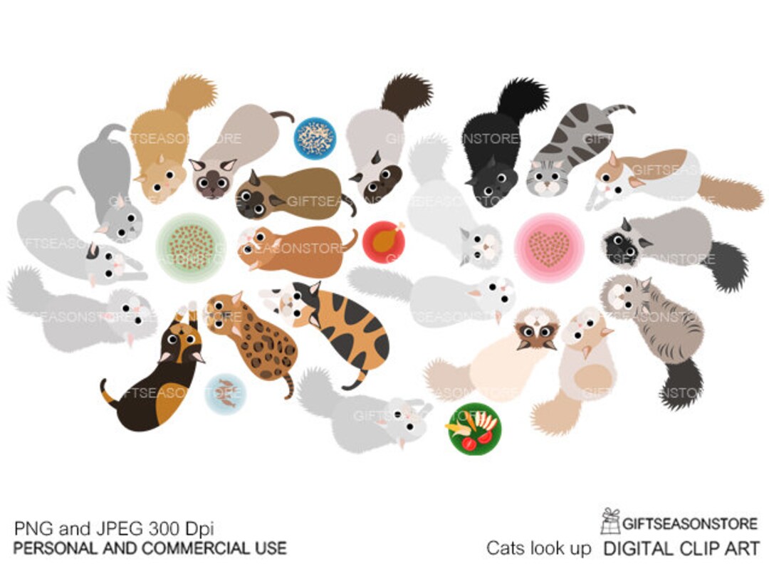 Cats Look up Digital Clip Art for Personal and Commercial Use - INSTANT ...