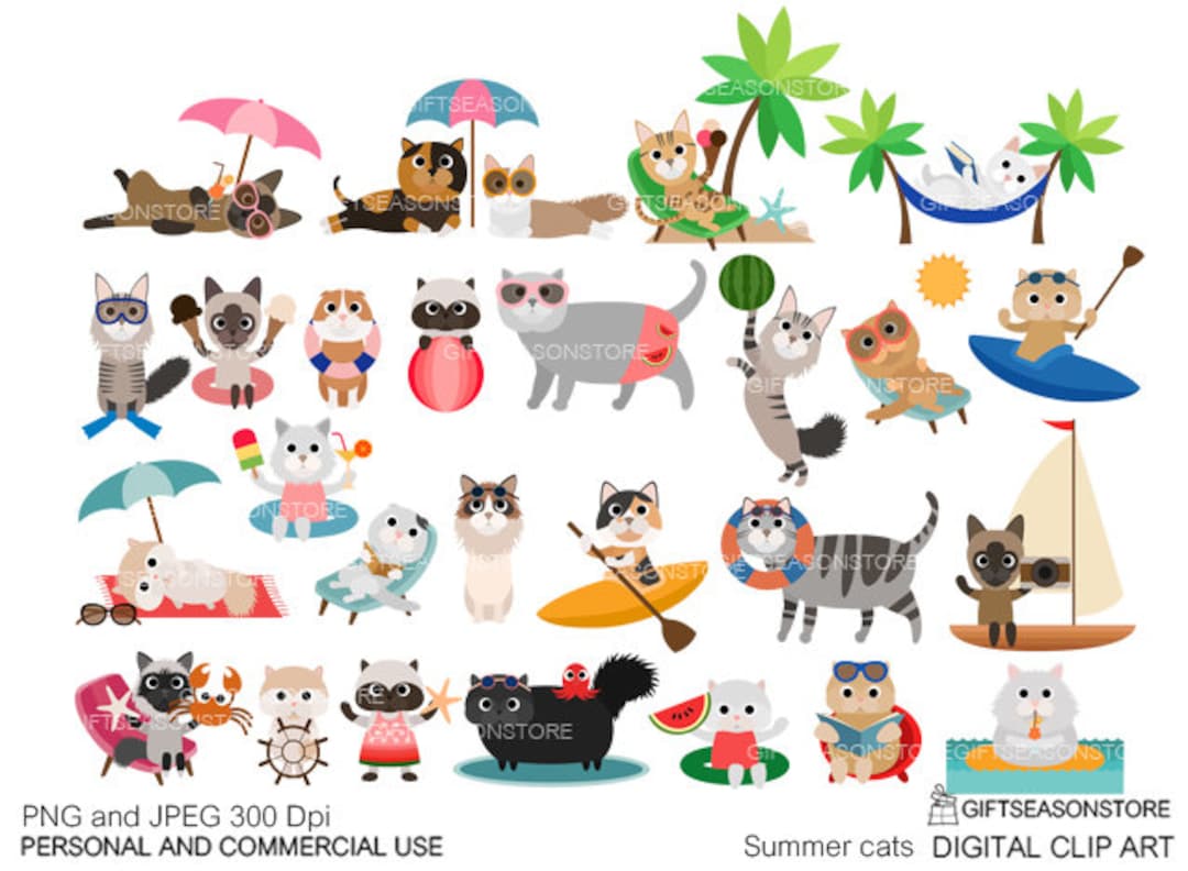 Summer Cats Digital Clip Art for Personal and Commercial Use - INSTANT ...