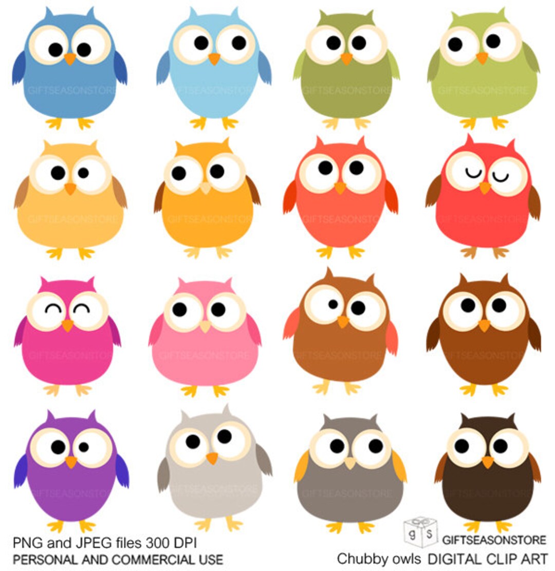 Chubby Owl Digital Clip Art for Personal and Commercial Use - INSTANT ...