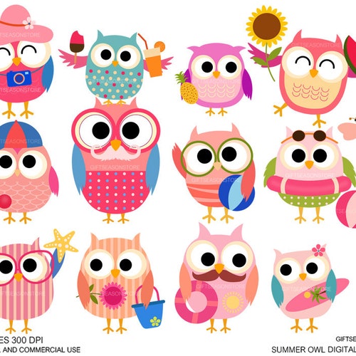 Classroom Owl Clip Art for Personal and Commercial Use - Etsy