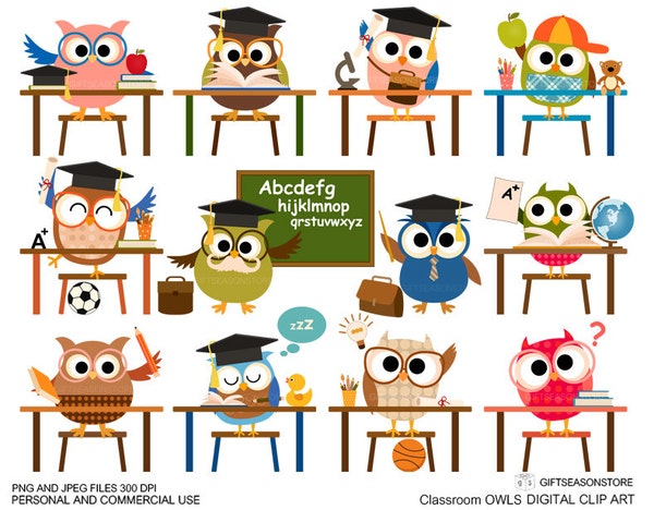 Back to School Owls Clip Art Vector Graphics Digital Clip - Etsy Canada
