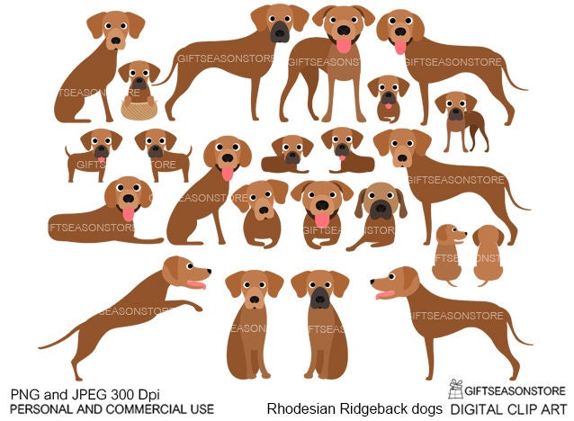 Rhodesian Ridgeback dogs digital clip art for Personal and | Etsy