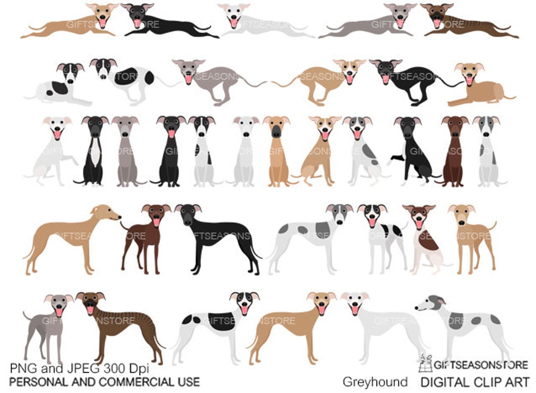 Greyhound Dog Digital Clip Art for Personal and Commercial Use ...