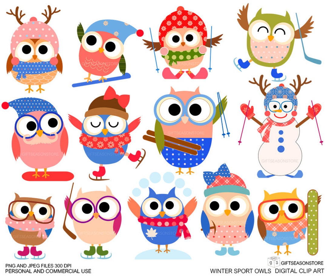 Winter Sport Owl Digital Clip Art for Personal and Commercial Use ...