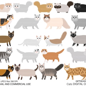 Cats Digital Clip Art Part 1 for Personal and Commercial Use | Etsy