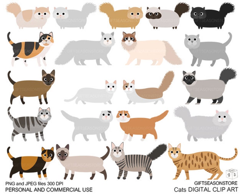 Cats Digital Clip Art Part 1 for Personal and Commercial Use - INSTANT ...