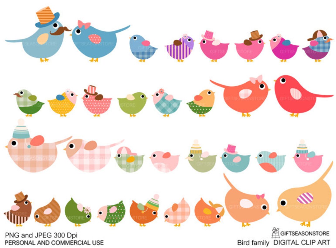 Bird Digital Clip Art for Personal and Commercial Use - INSTANT ...