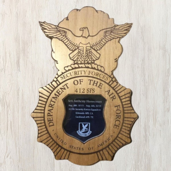 Air Force Squadron Wood Plaque - Etsy