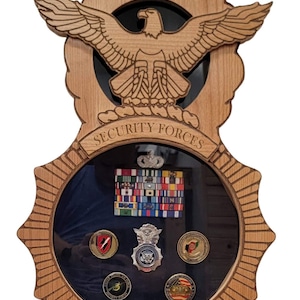 Security Forces Shadow Box, Military Security Police Flag Case, SFS ...