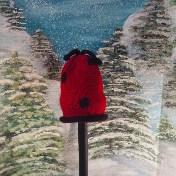 Lady Bug Hat - Etsy