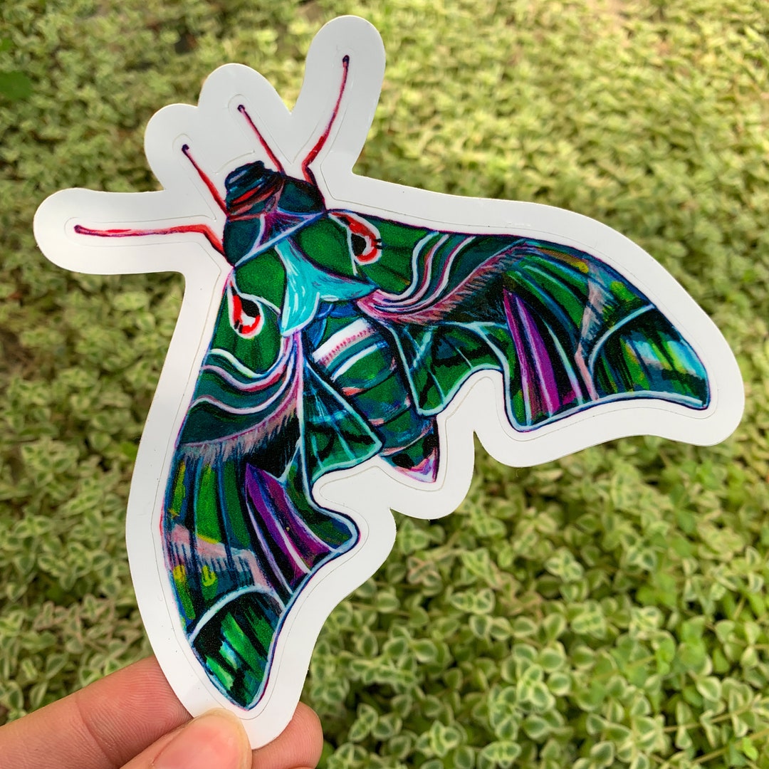Green Moth Vinyl Sticker Kiss Cut Waterproof Nature Art Cottage Core ...