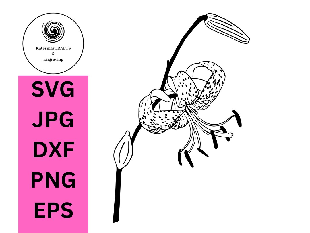 LILY FLOWER SVG, Lily Eps, Lily Flower Png, Flower Jpg, Callalily ...