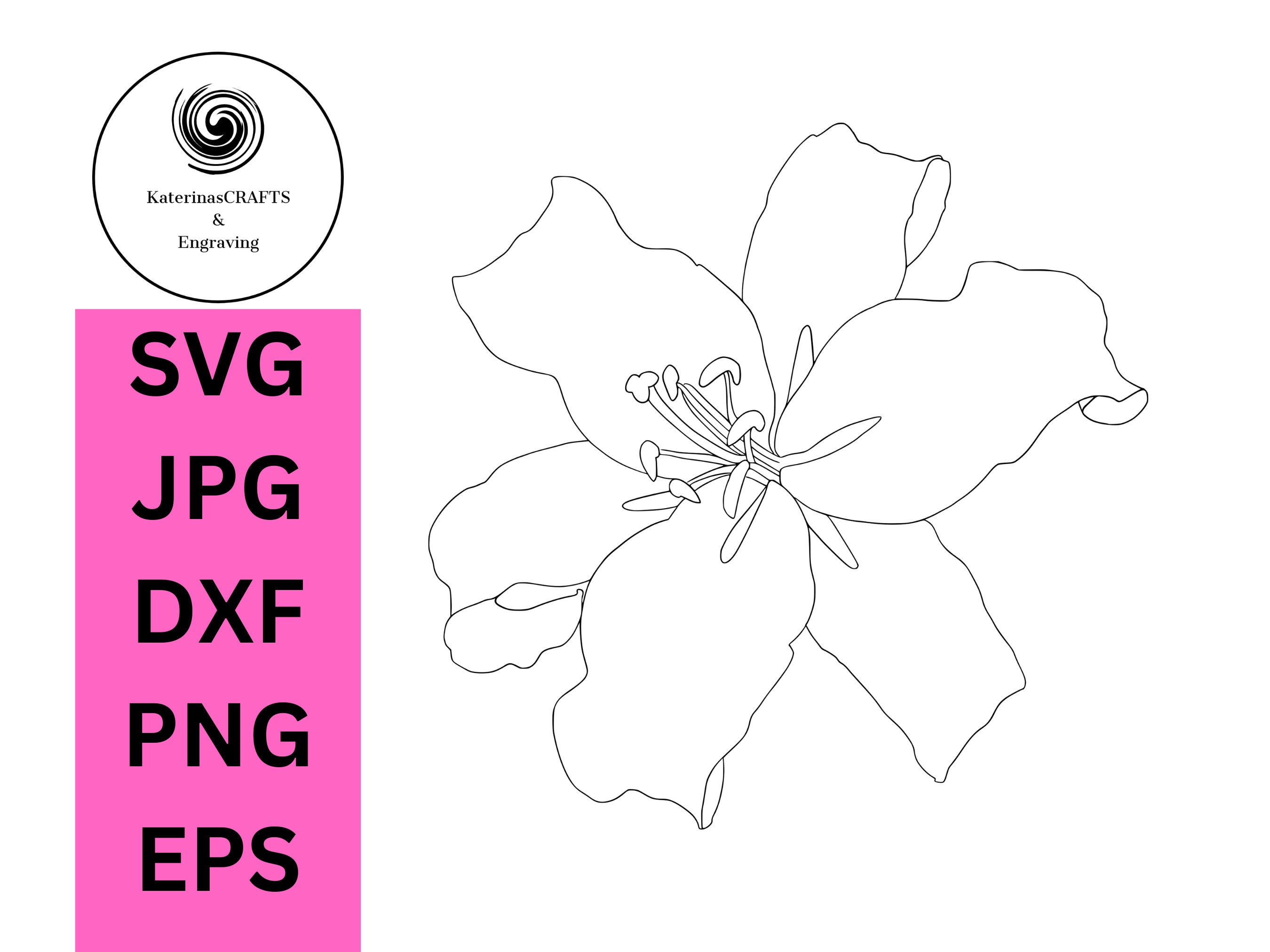 LILY FLOWER SVG, Lily Eps, Lily Flower Png, Flower Jpg, Callalily ...