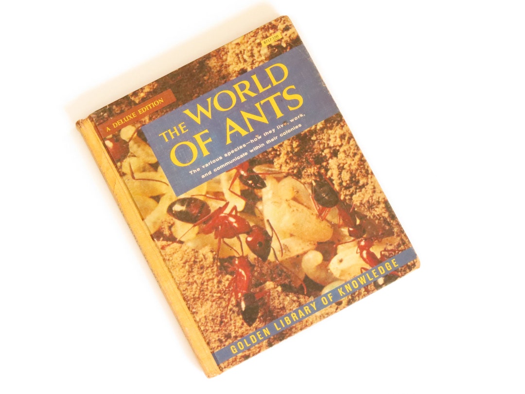 Vintage 1959 the World of Ants Book for Young Readers - Golden Library ...