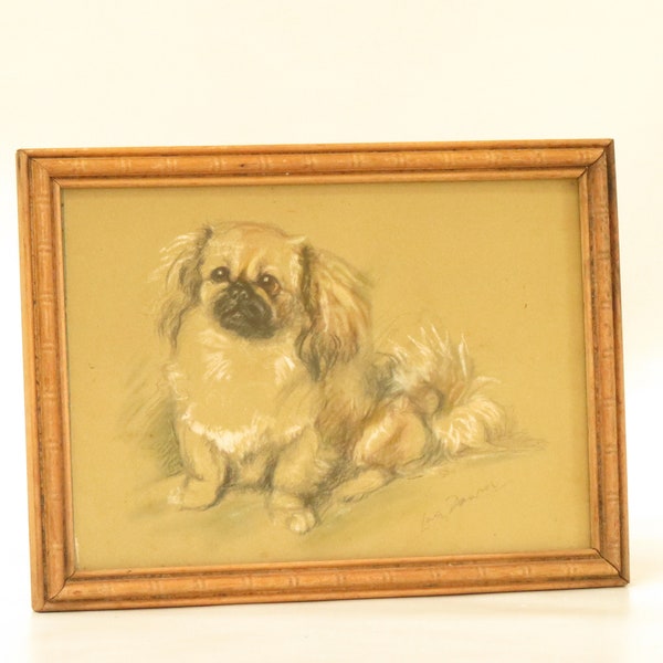 Vintage Pekingese - Etsy