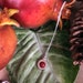 Sterling Silver Pomegranate Necklace-pendant-fruit Jewelry-bridesmaid ...