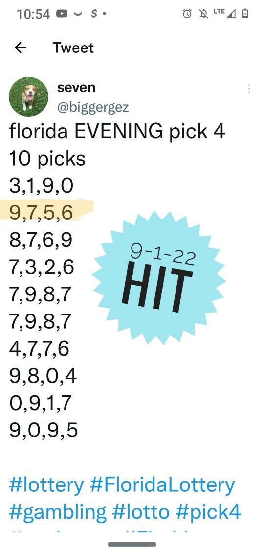 Florida Pick 3 4 Lottery Numbers For Windows 7 8 And 10 Etsy