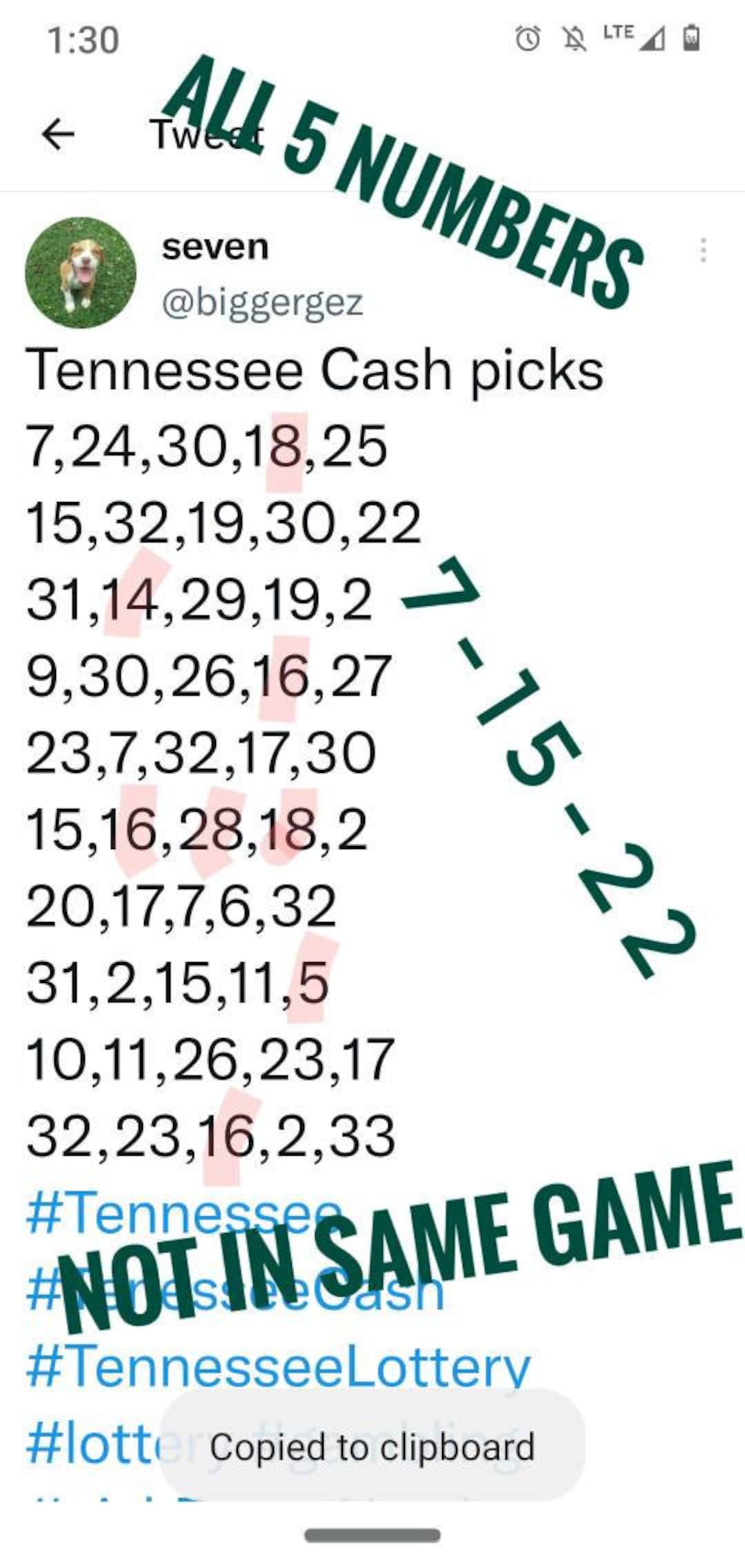 Tennessee Cash Numbers Software for Windows 7 , 8 & 10 - Etsy