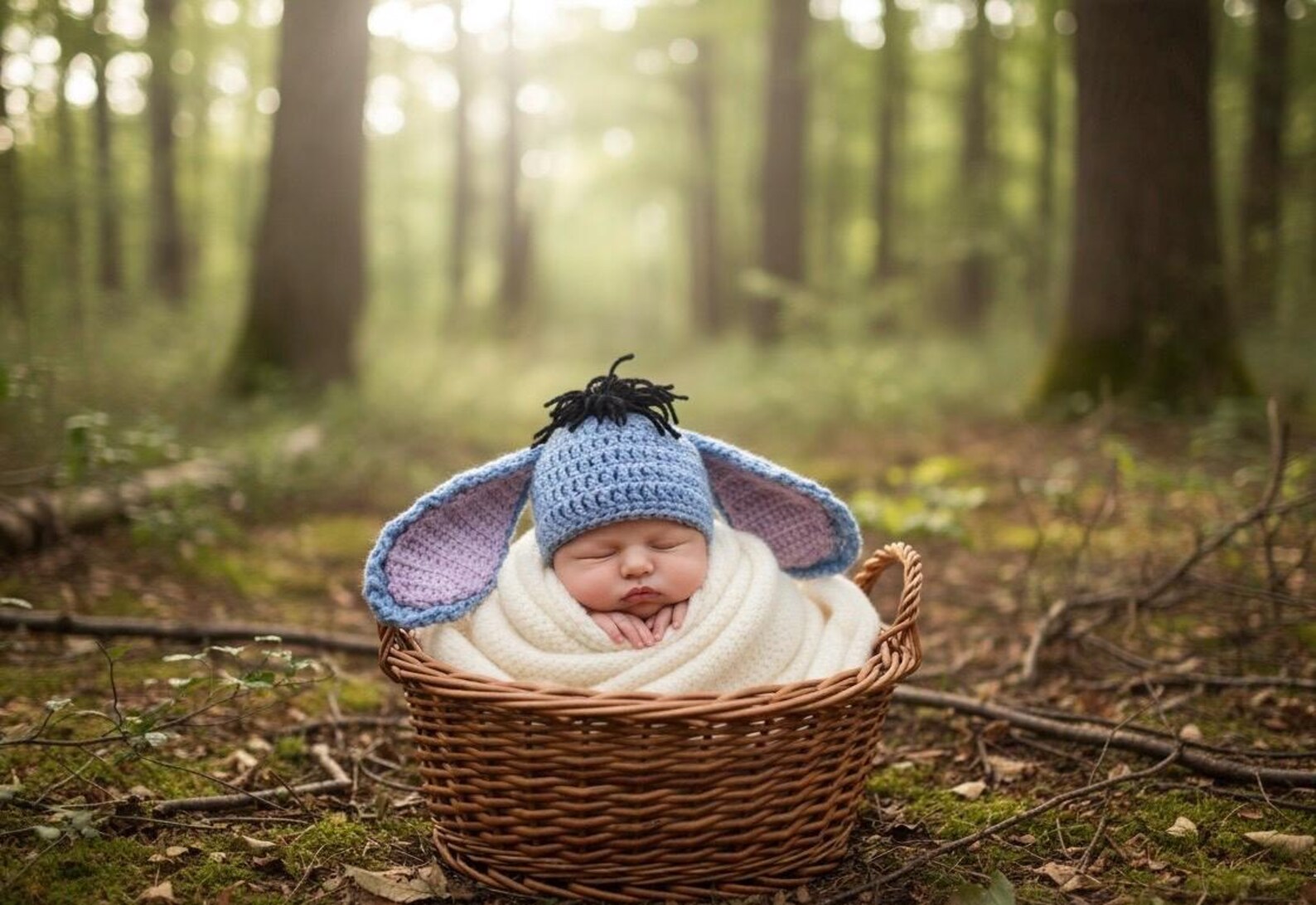 Eeyore Inspired Baby Photo Prop Set - Etsy Canada