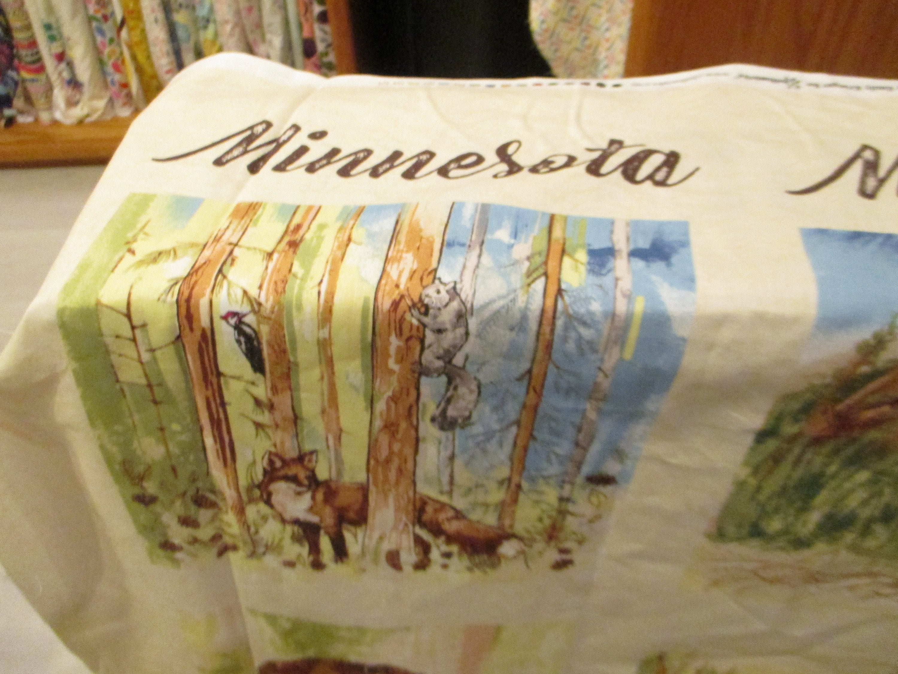 Clothworks Cotton Fabric Minnesota Shop Hop 2019 Panel with | Etsy