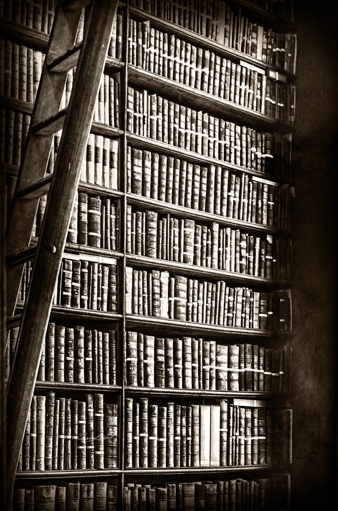 Library Book Black and White Sepia Art Photography Print - Etsy